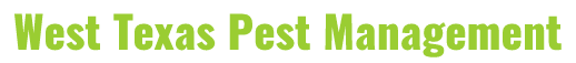 Pest Control & Exterminator Services | Alpine, TX | West Texas Pest ...